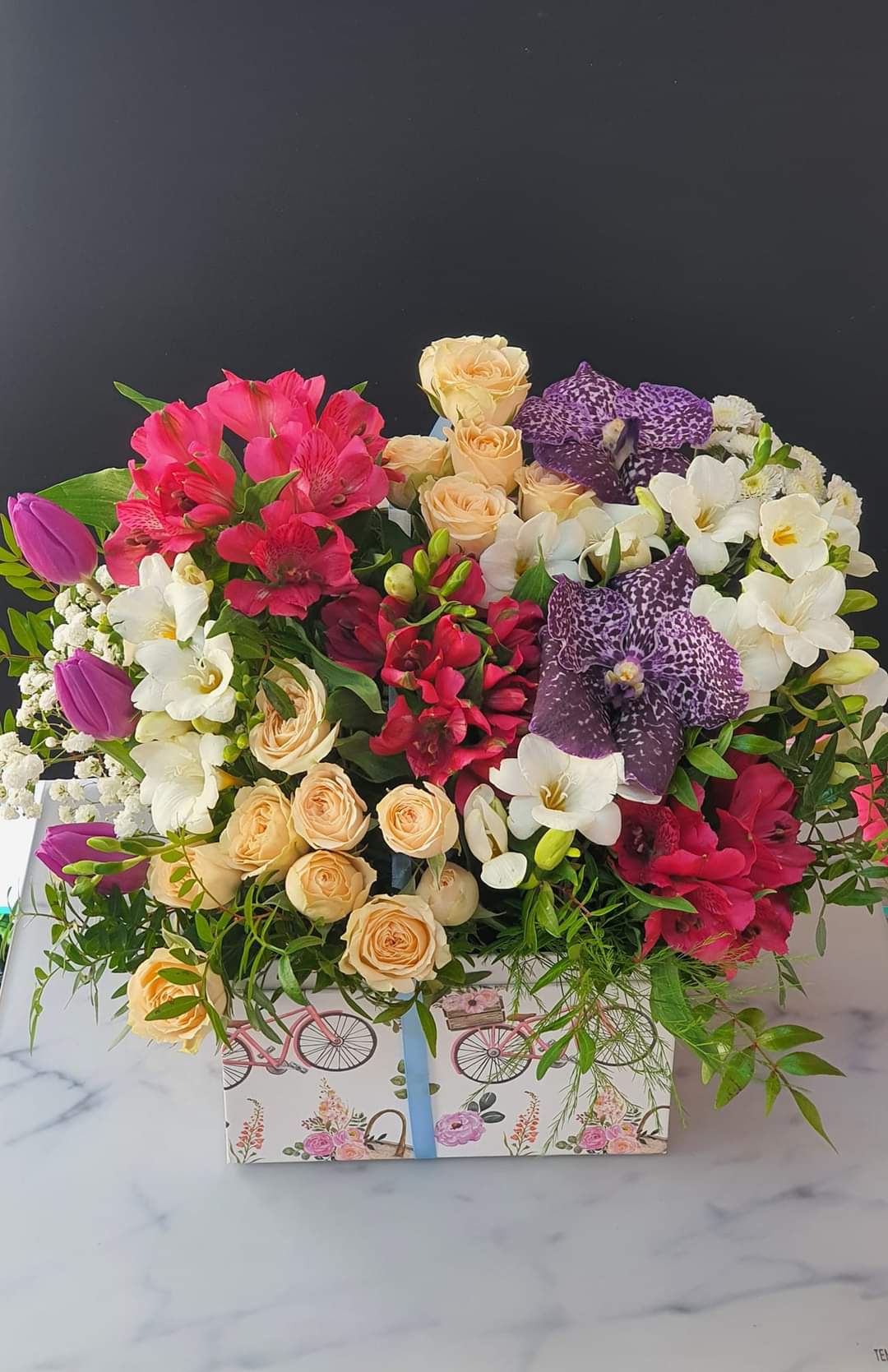 Pachet VIP - Surprize la domiciliu Mangalia